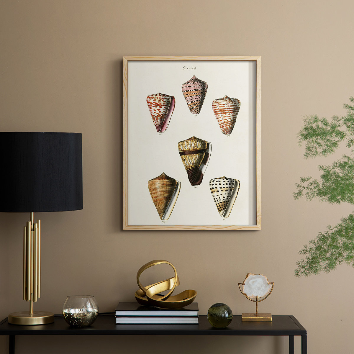 Beachcrest Home™ " Cone Shell Collection IV " | Wayfair