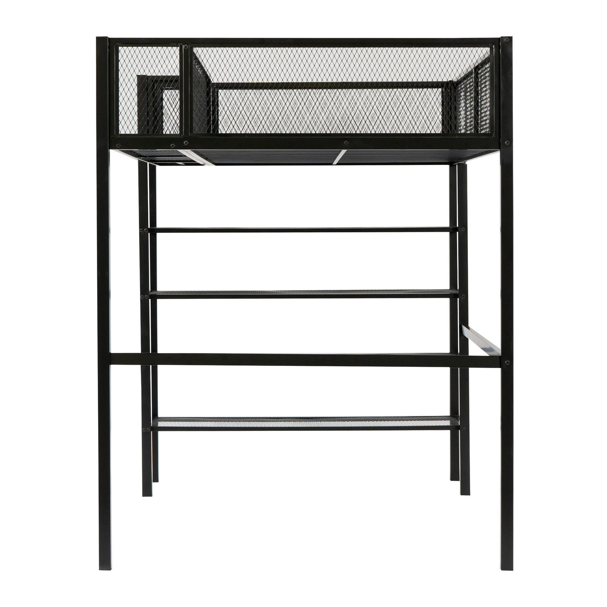 Isabelle & Max™ Alvidas Metal Platform Storage Bed | Wayfair