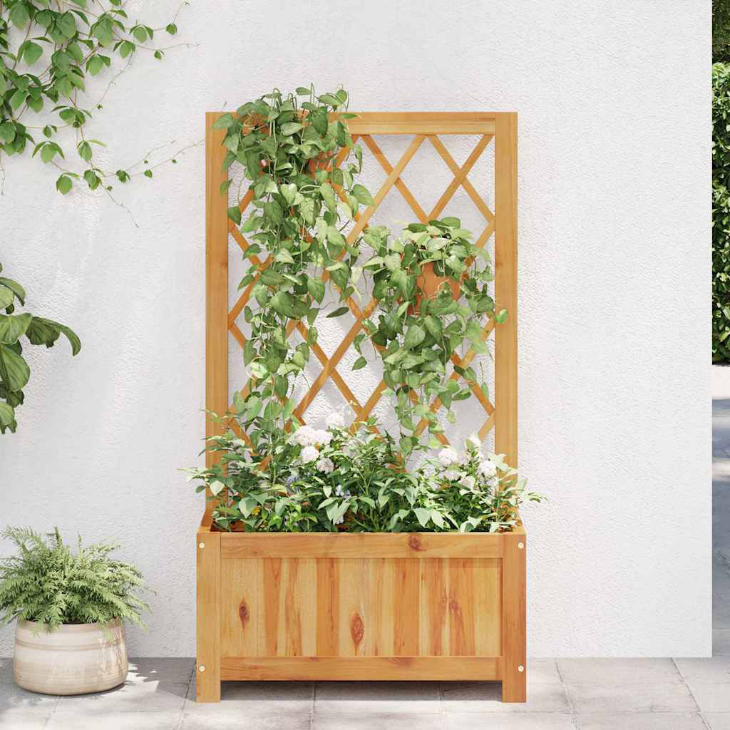Arlmont & Co. Telesha Garden Raised Bed with Trellis Solid Acacia Wood ...