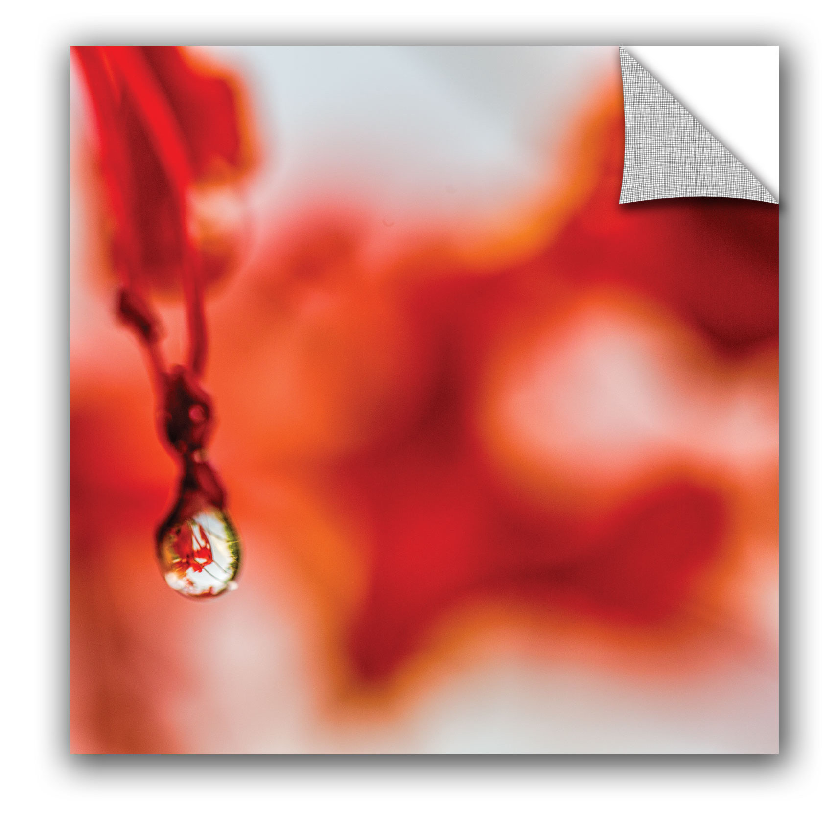 East Urban Home Orange Drip 1 Wall Decal - Wayfair Canada