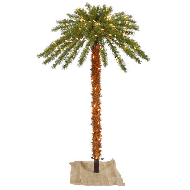 The Holiday Aisle® 6' Green Outdoor Palm Tropical Artificial Christmas ...