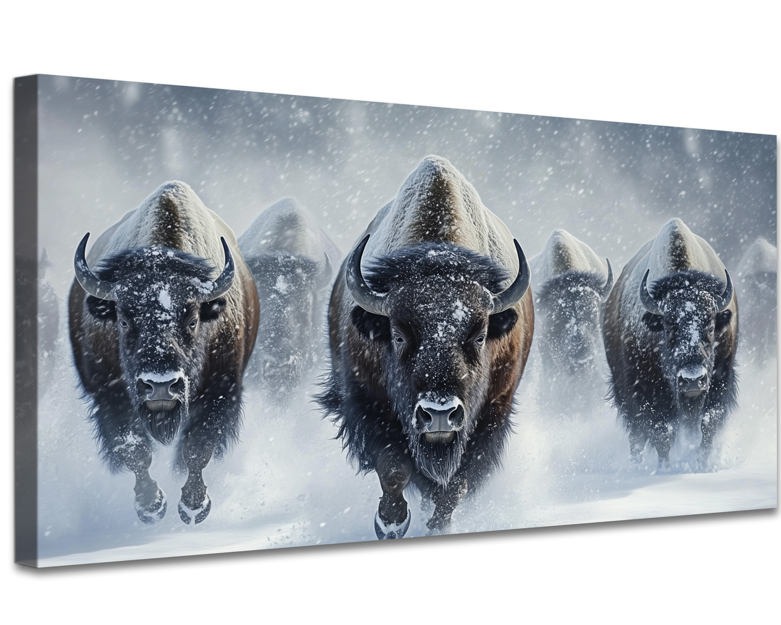The Holiday Aisle® Bison Canvas Wall Art - Majestic Buffalo Pictures ...