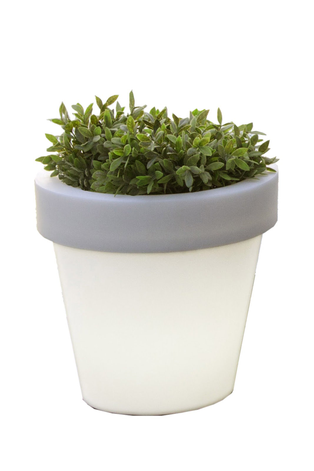 Freeport Park Darwin Resin Plant Pot | Wayfair.co.uk
