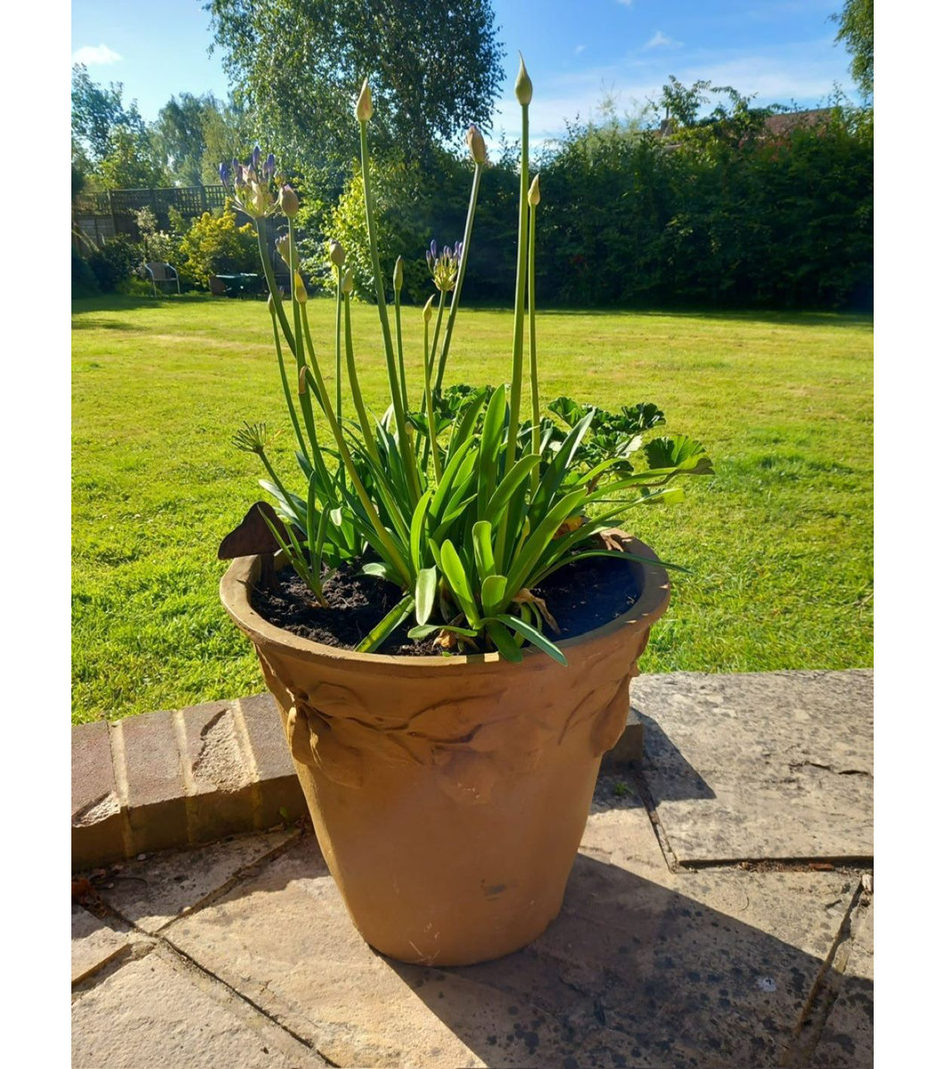 Brambly Cottage Zachariah Fiberglass Planter & Reviews | Wayfair.co.uk