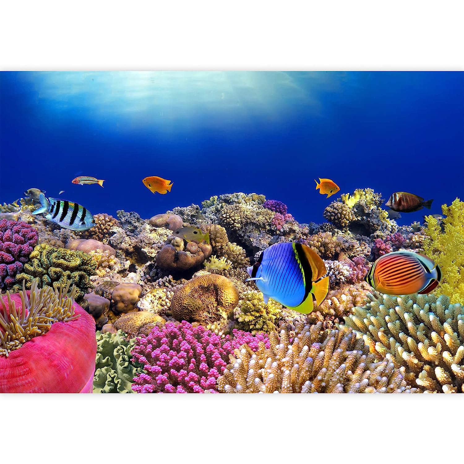 idea4wall-peel-stick-animal-print-wall-mural-wayfair