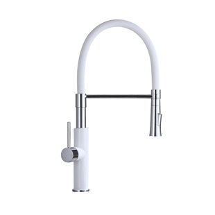 White Kitchen Faucets | Wayfair