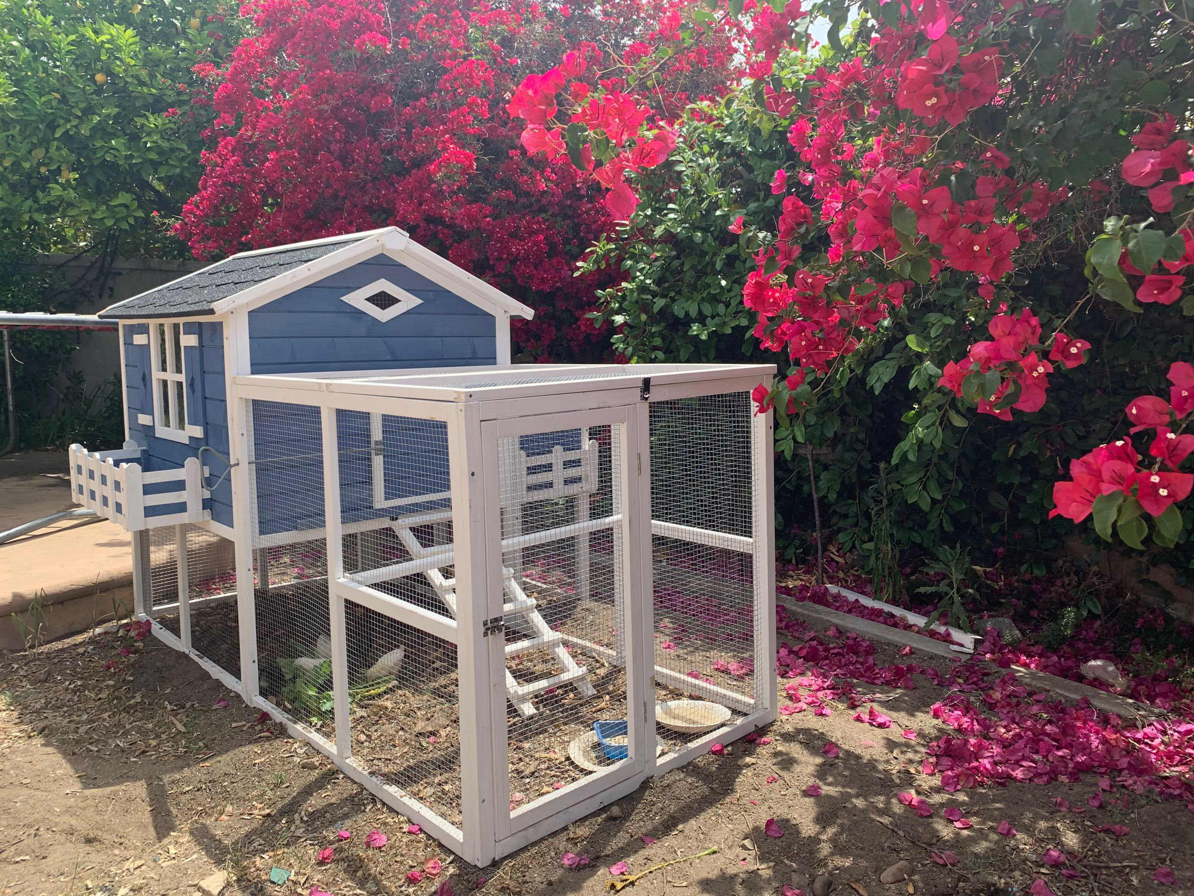 Tucker Murphy Pet™ Garden Window Large Chicken Coop Chook Pen Cage ...