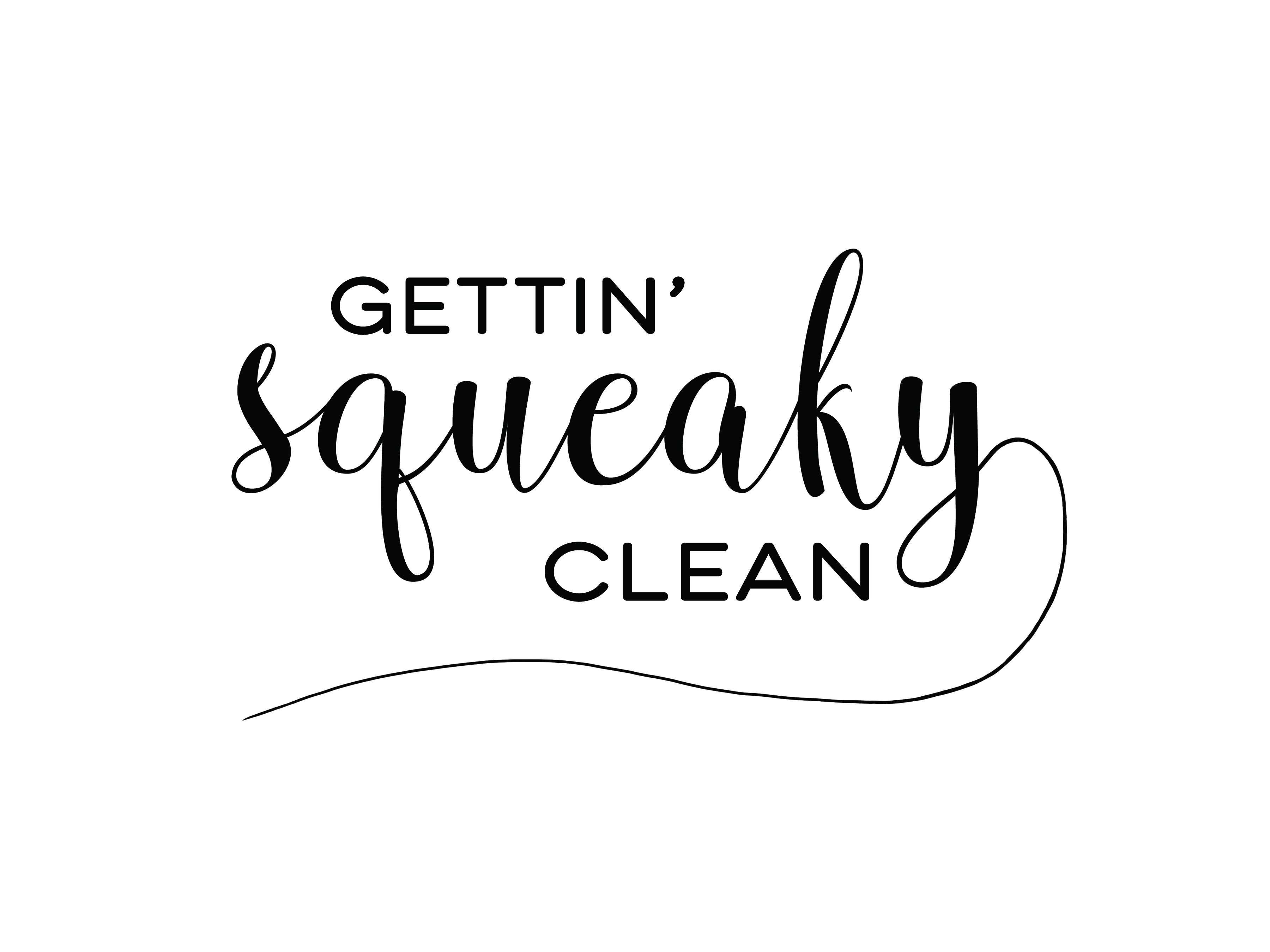 Trinx Squeaky Clean - Wayfair Canada