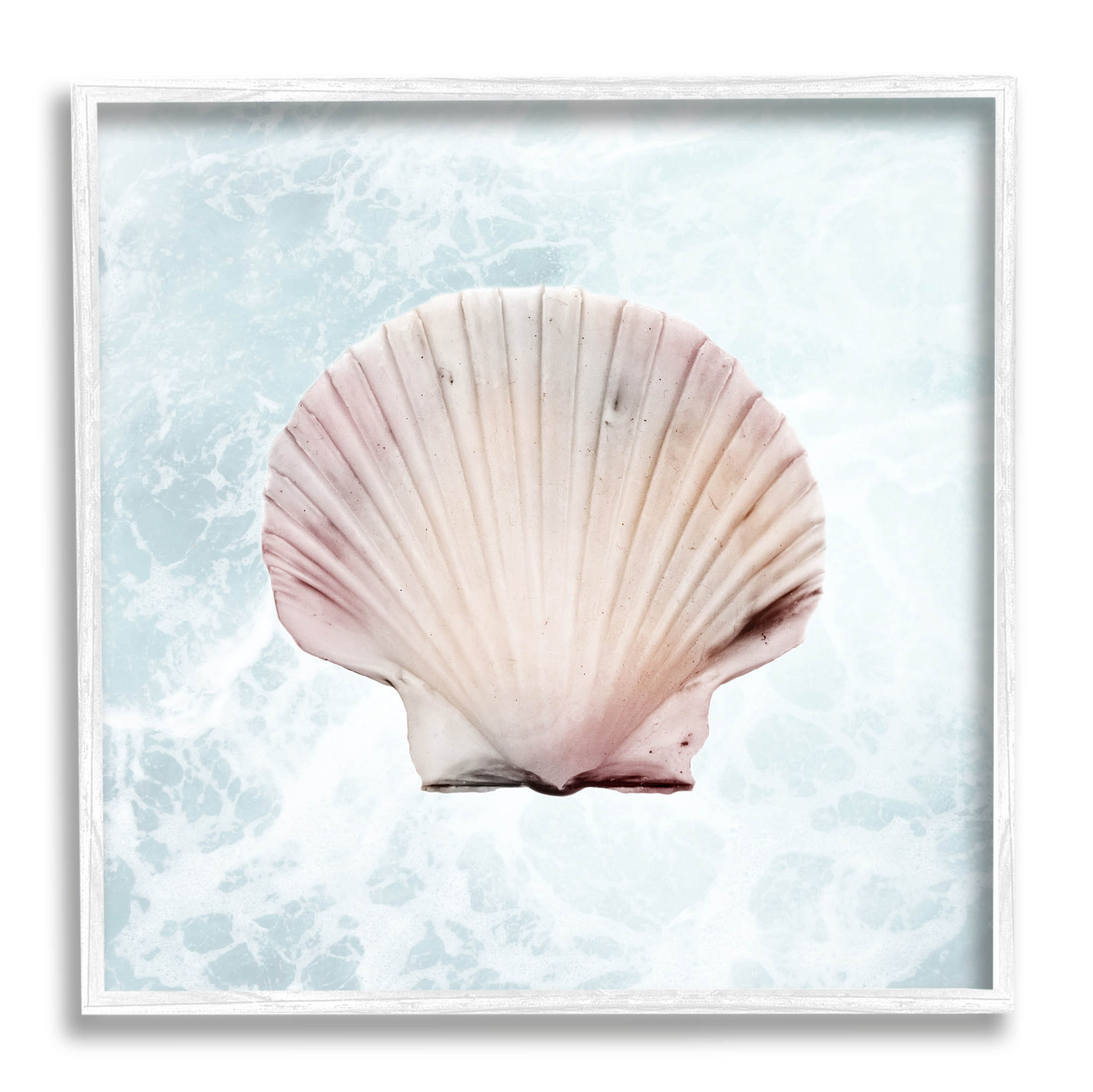 Stupell Industries Clam Shell Sea Water Giclee Art By Marcus Prime ...