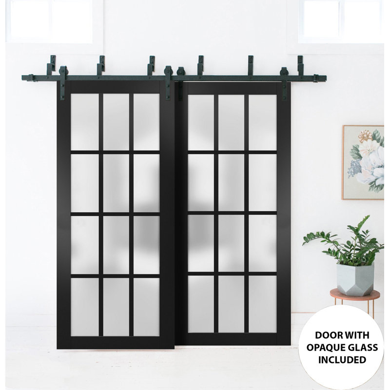 SARTODOORS Felicia Frosted Glass Standard Door | Wayfair