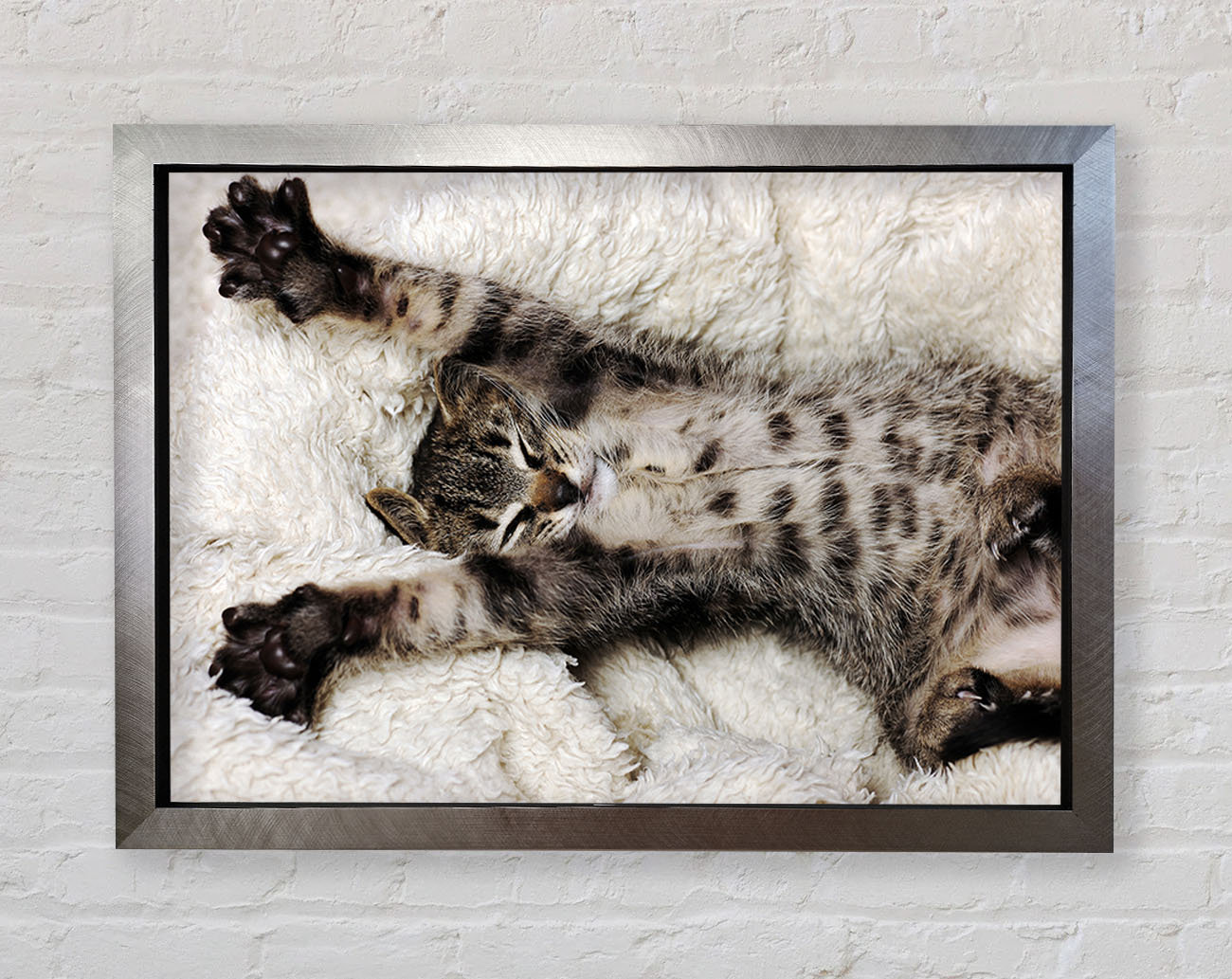Latitude Run Cat Nap Framed Print Wall Art | Wayfair.co.uk