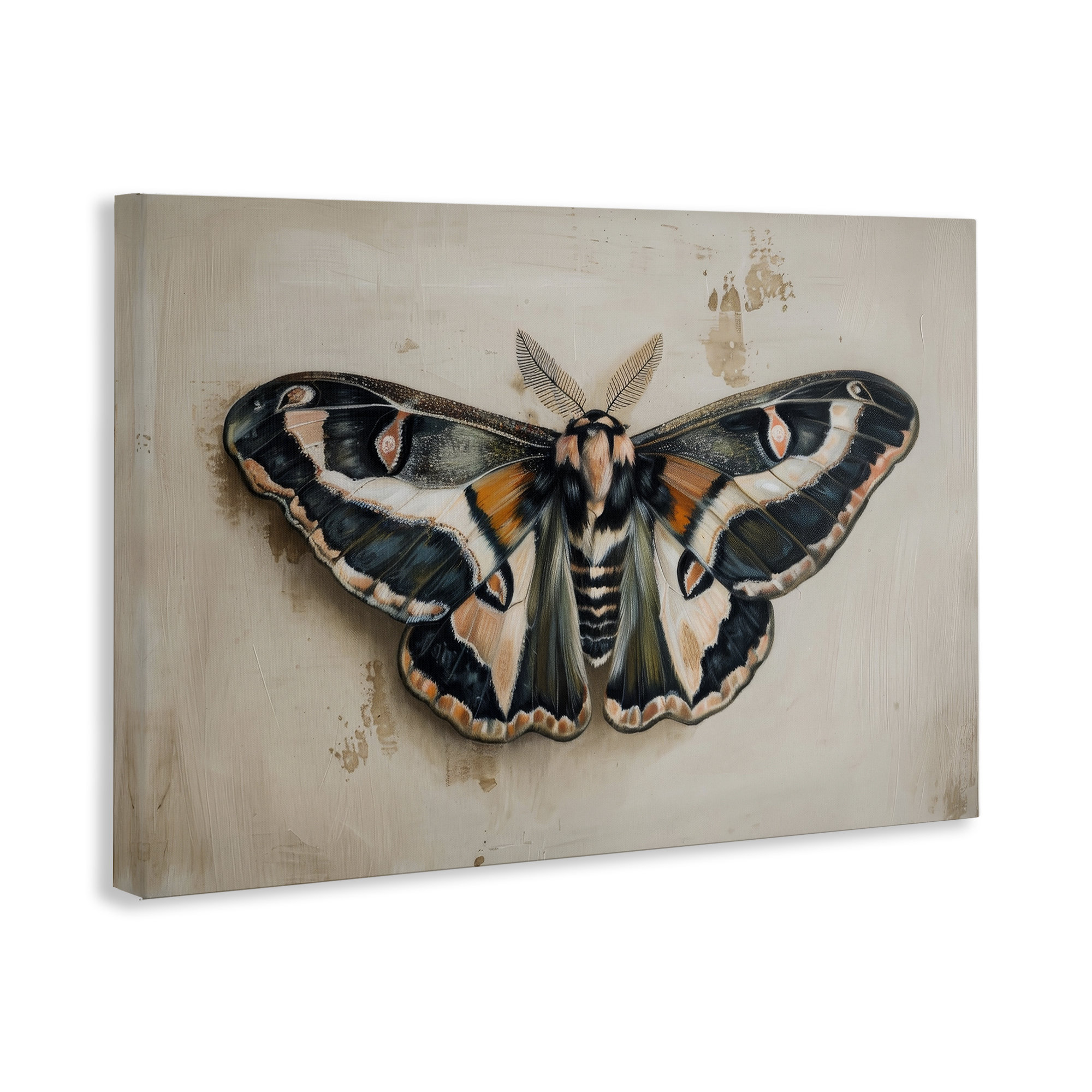 August Grove® Dark Winged Moth Canvas Wall Art by Petal Prints Design ...