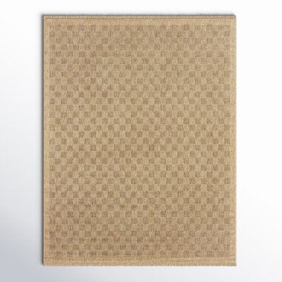 Birch Lane™ Abbie Checkered Outdoor Rug & Reviews | Wayfair