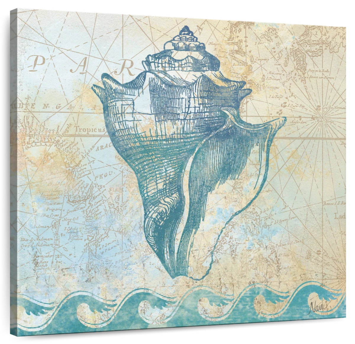 Elephant Stock Conch Treasure | Wayfair