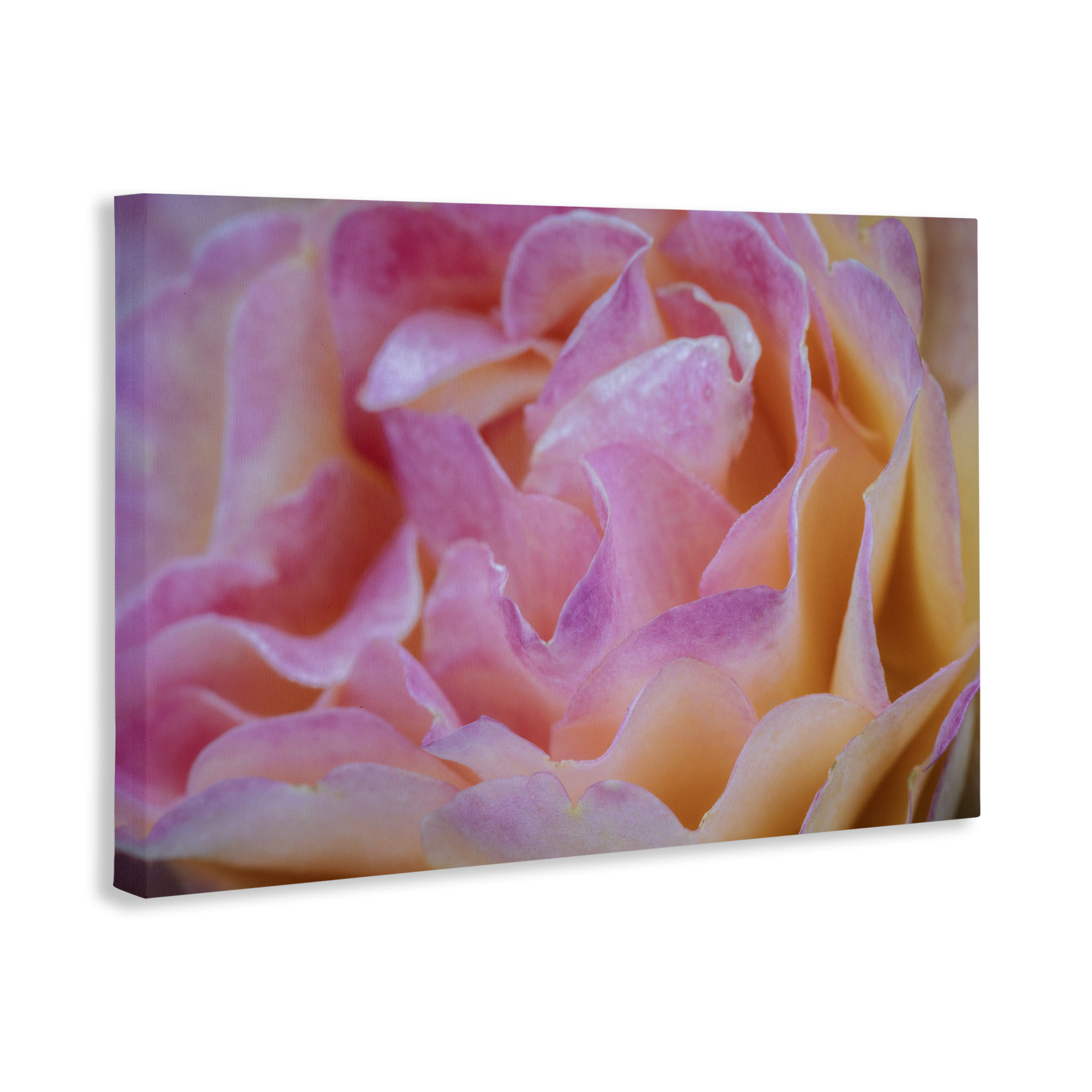 Ebern Designs Pink Floral Petals Palette Canvas, design by James ...