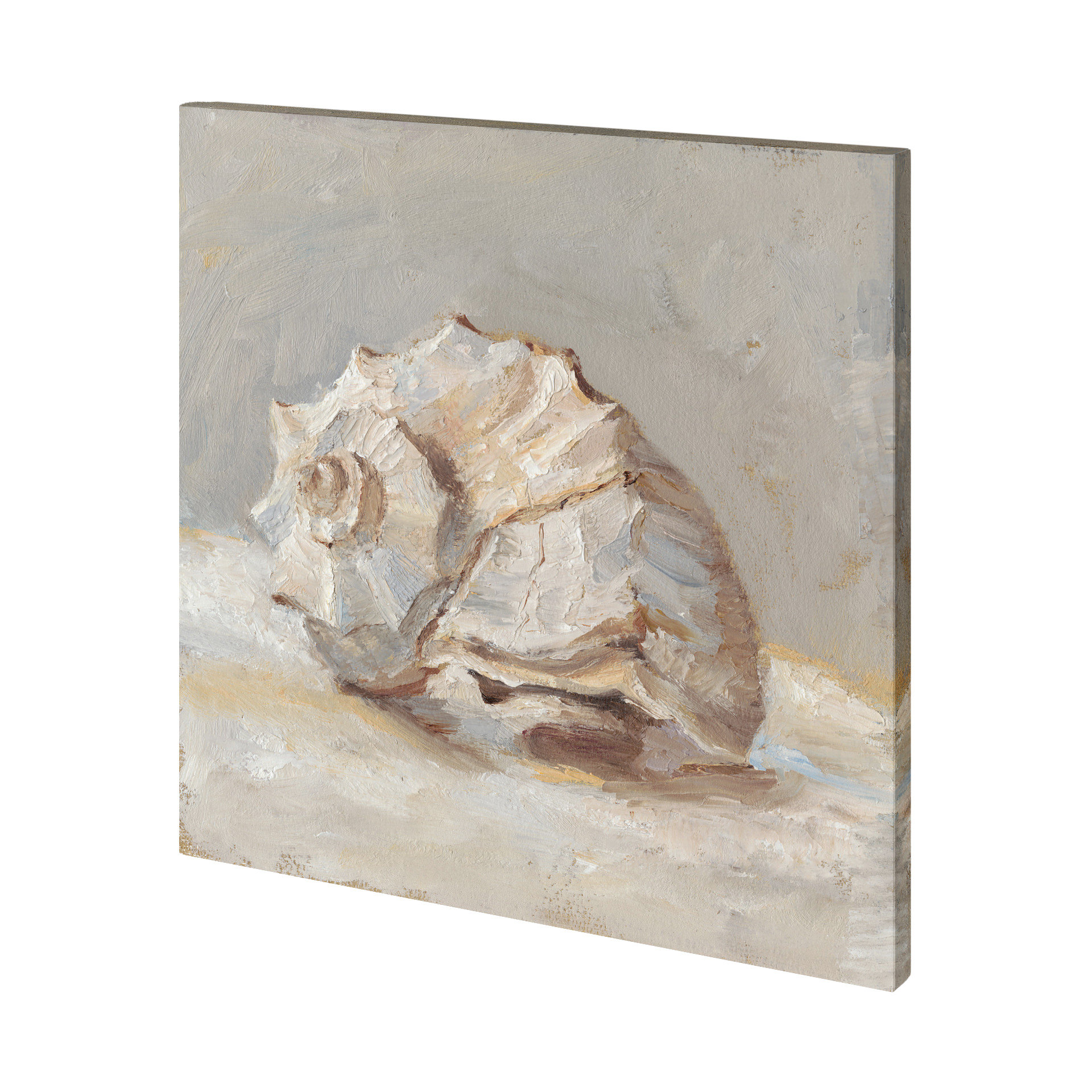 Rosecliff Heights Impressionist Shell Study II a Hand Embelished Textured Canvas | Wayfair