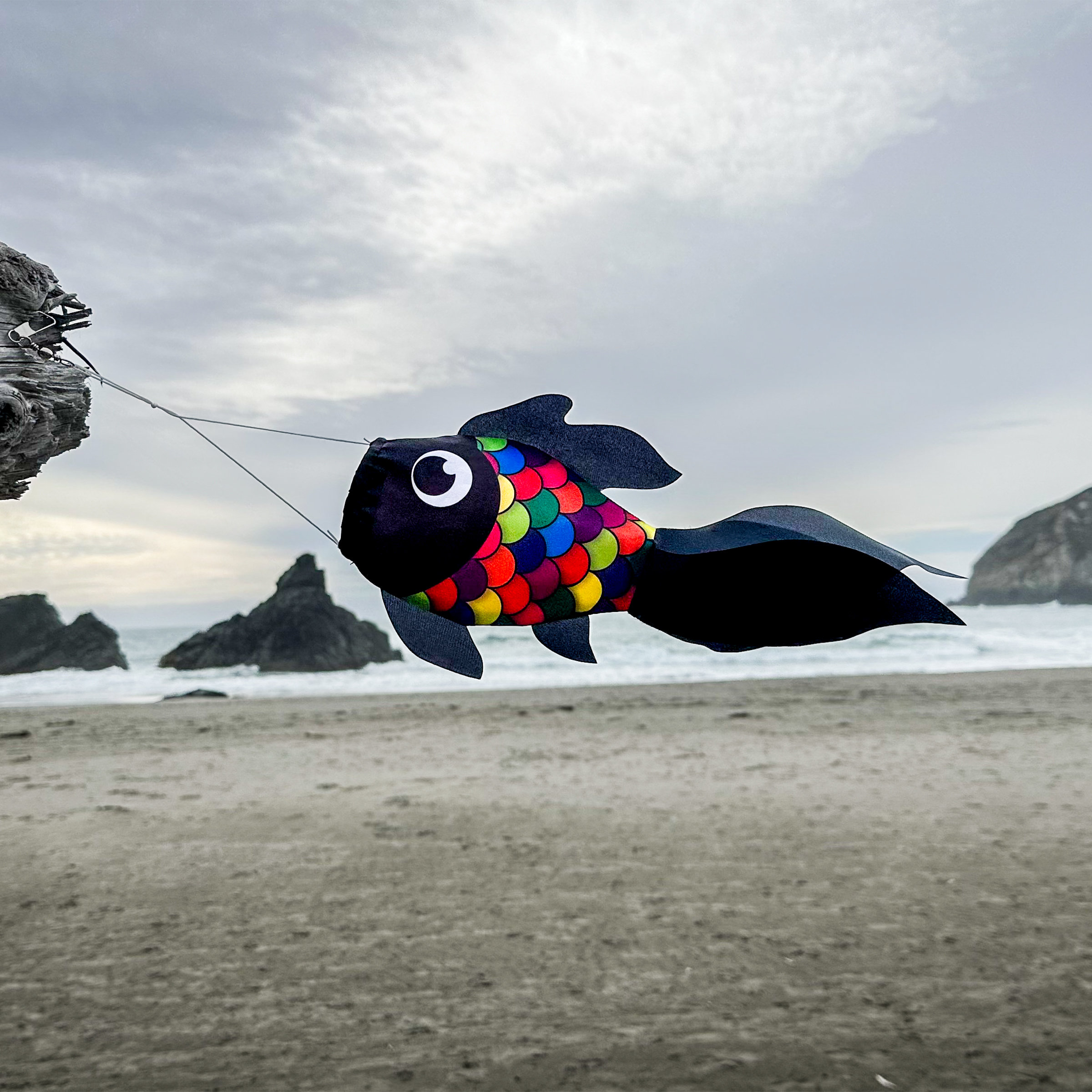 In The Breeze 15" Damsel Fish Windsock - Wayfair Canada