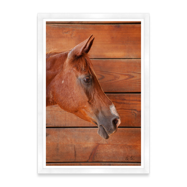 Tim Klein Horse Portrait I by Tim Klein | Perigold