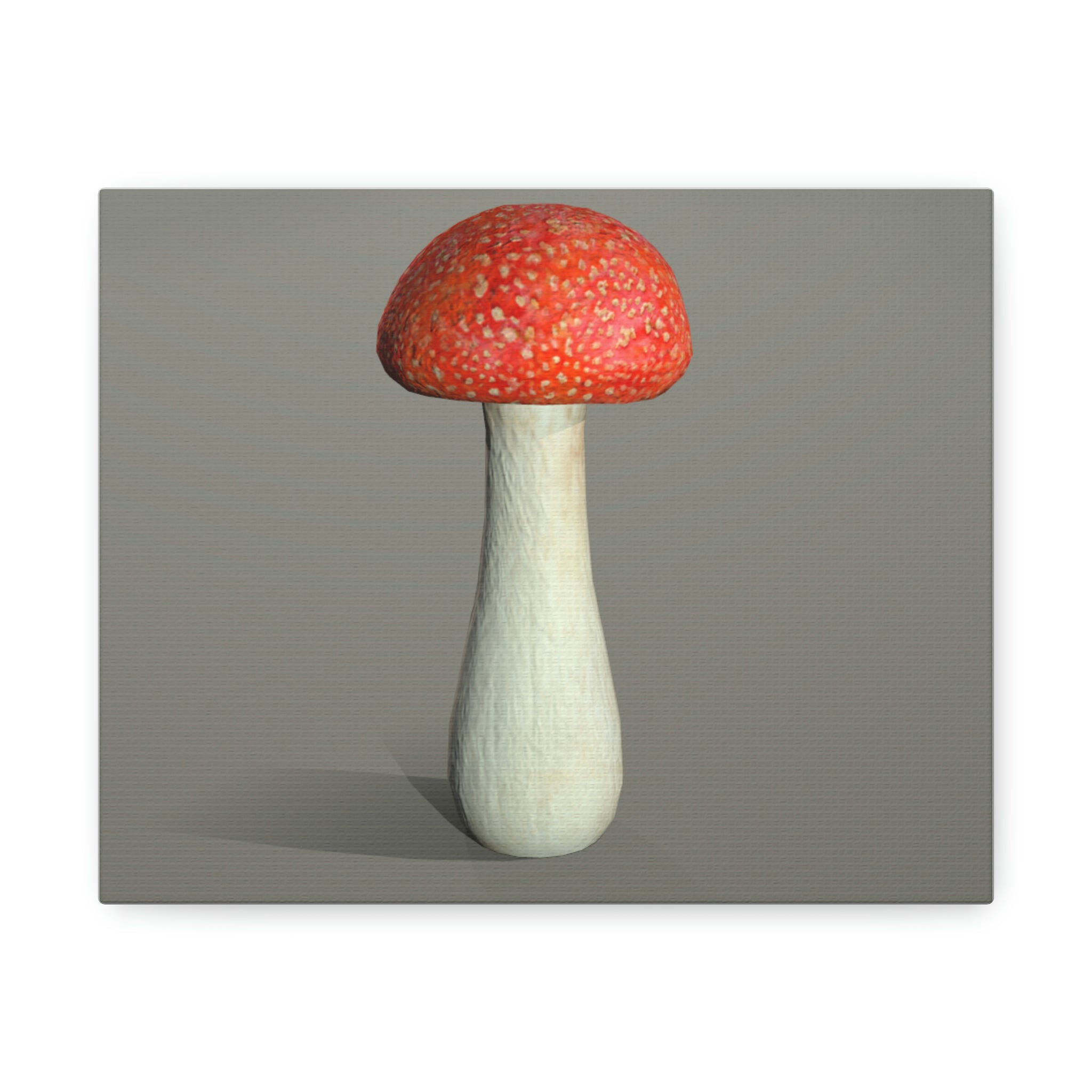 Gracie Oaks Mushroom by Kelly Johnson - Unframed Graphic Art on Canvas ...