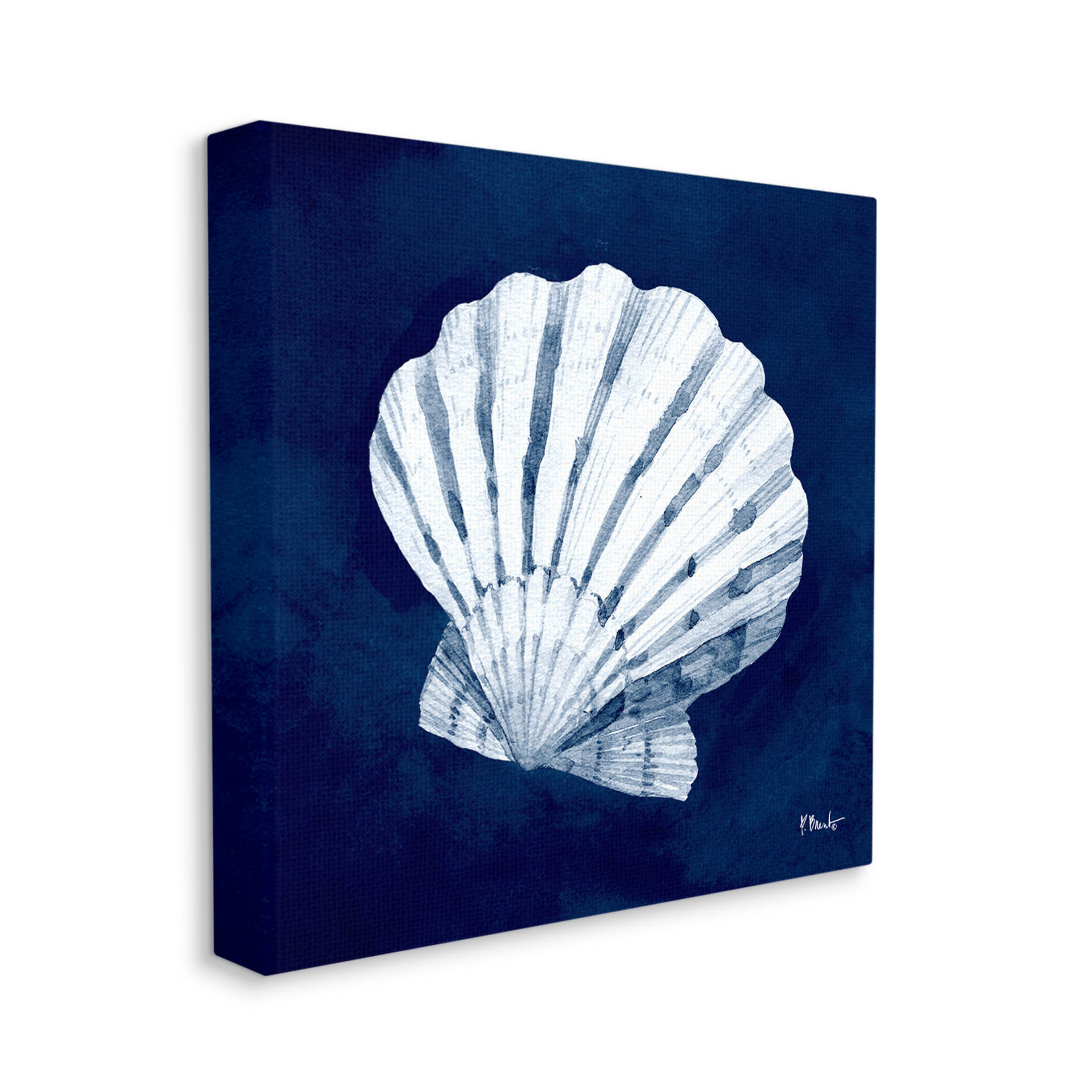 Highland Dunes Cyanotype Shells Traditional Scallop by Paul Brent ...