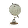 Breakwater Bay Mango Wood Educational/Geographic Earth Cream Globe ...