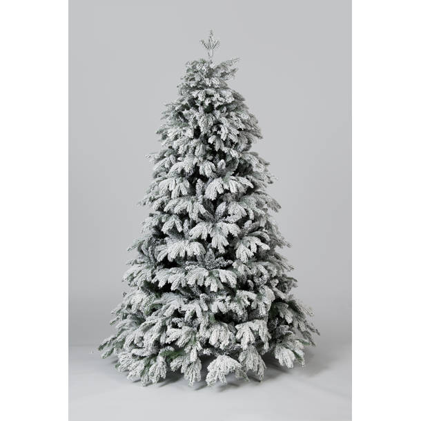 The Seasonal Aisle Plastic Tree Collar & Reviews | Wayfair.co.uk