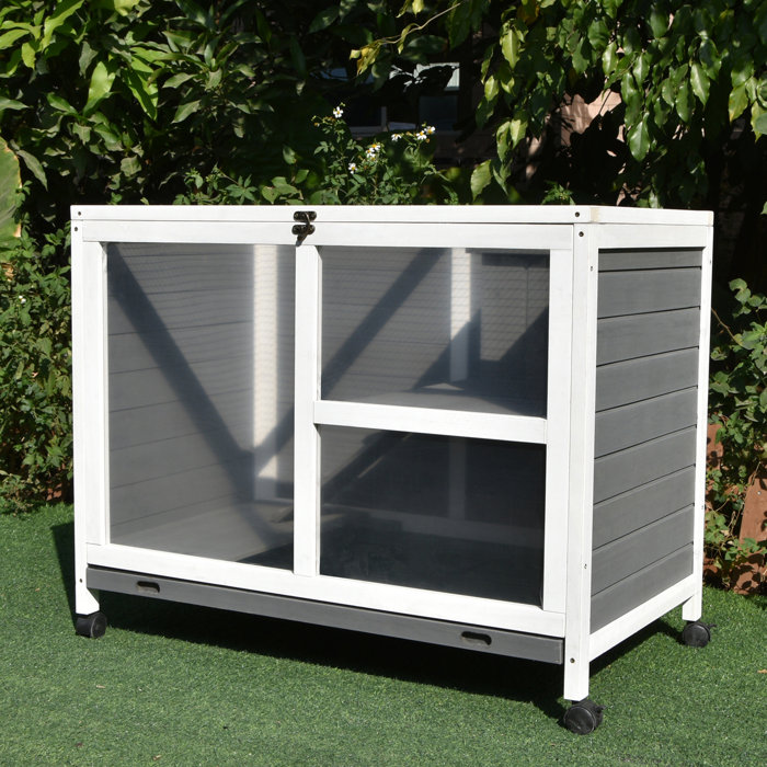 Tucker Murphy Pet™ Mcbeth Rabbit Portable Hutch with Ramp & Reviews ...