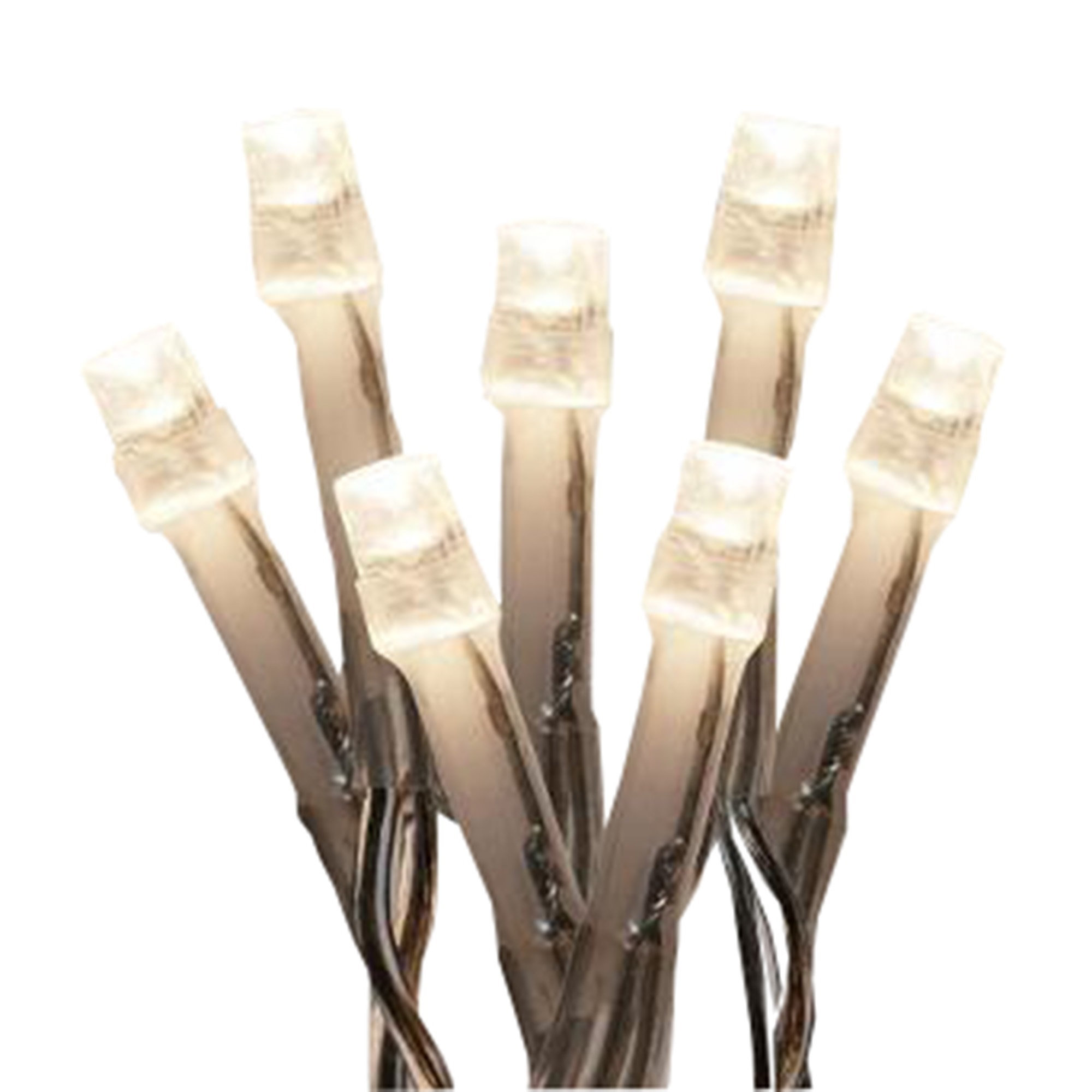 Trinx Jaliyiah ProductWorks Indoor/Outdoor 600 LED-Micro String Light ...