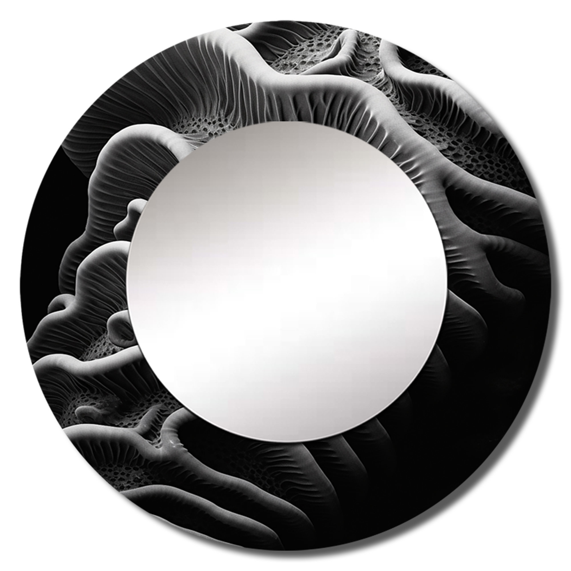 Design Art Black And White Coral Mystic Abyss - Corals Mirror, Coastal ...