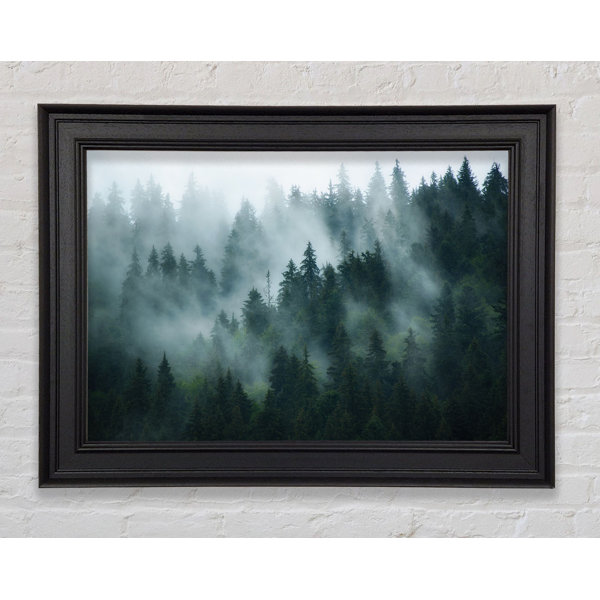 Union Rustic Mist In The Dense Woods - Print | Wayfair.co.uk