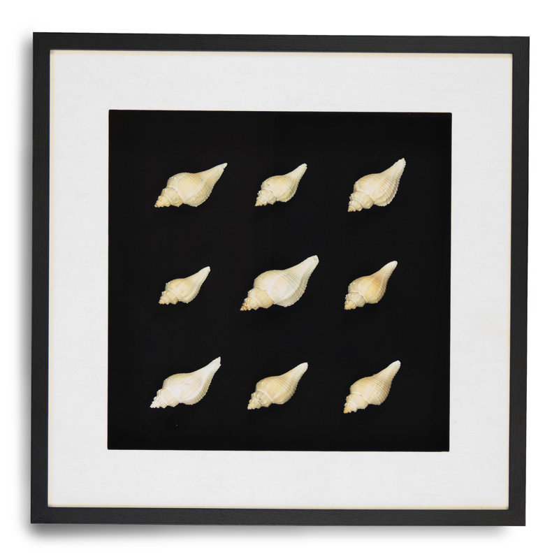 Zentique Abstract Shell Wall Art | Wayfair