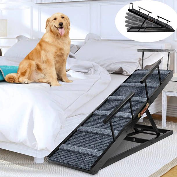 Pet Gear Free Standing 56" Pet Ramp & Reviews | Wayfair