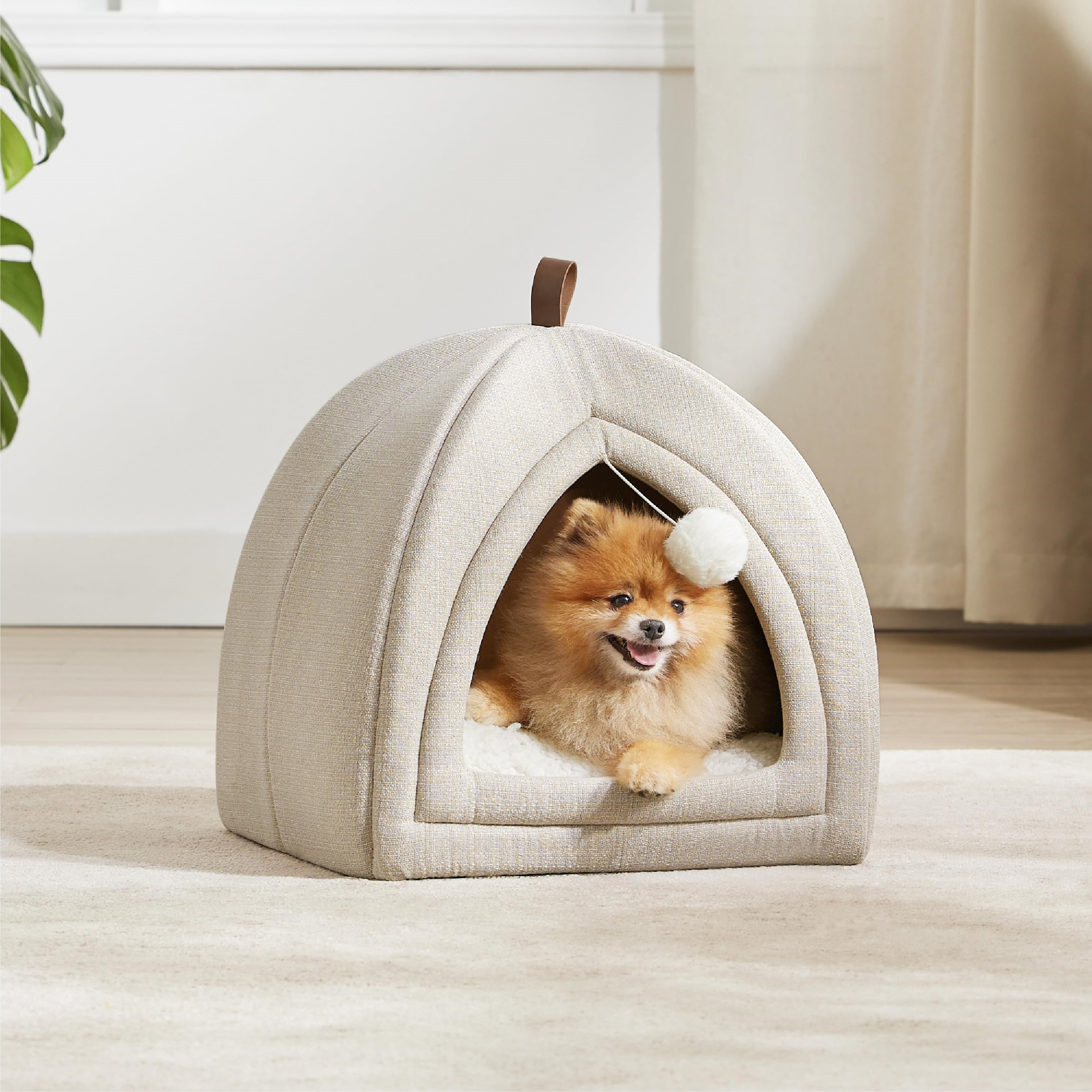 Archie & Oscar™ 2 in 1 Cat Cave for Kittens and Small Pets | Wayfair