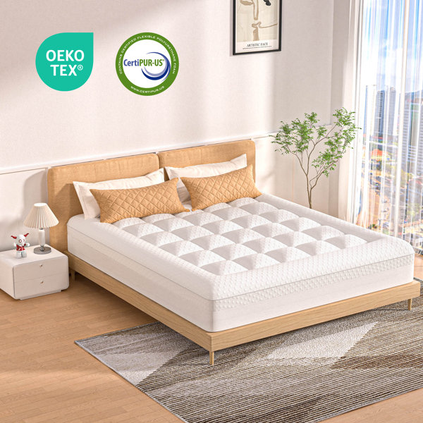 Alwyn Home Sleep Alwyn Home Bathild 3`` Mattress TOPPER 2 in 1 ...