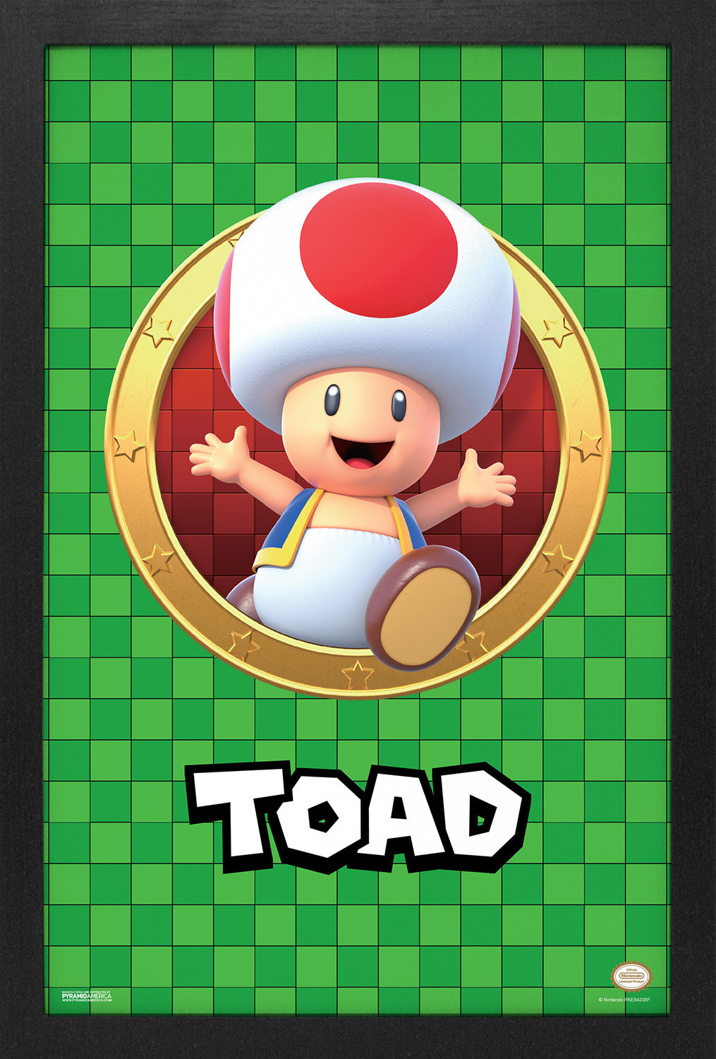 Ebern Designs Super Mario- 3D Port- Toad 11x17 Gel-Coat Framed Print ...