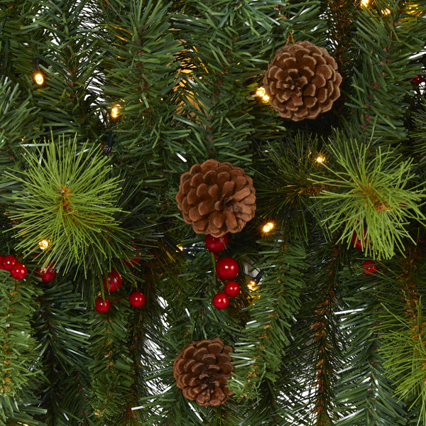 The Holiday Aisle® 6' Swag 50 Clear Lights | Wayfair