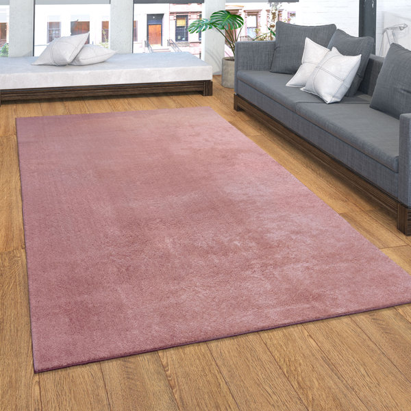Ebern Designs Harpole 100% Polyester Pink Outdoor Rug & Reviews ...
