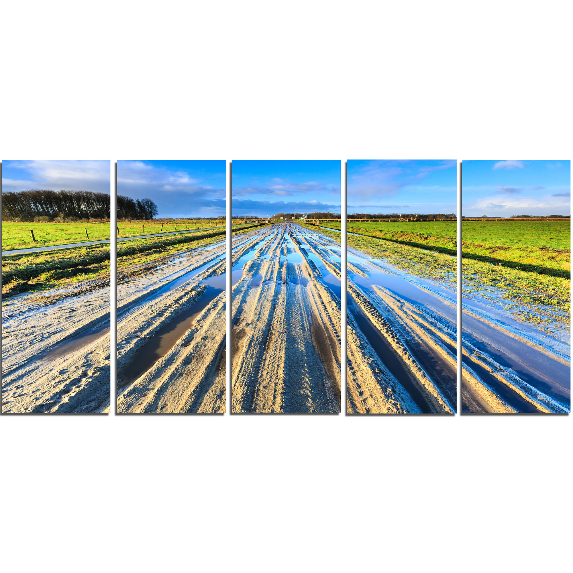 Design Art 'Muddy Sand Lane on Sunny Day' 5 Piece Photographic Print on ...