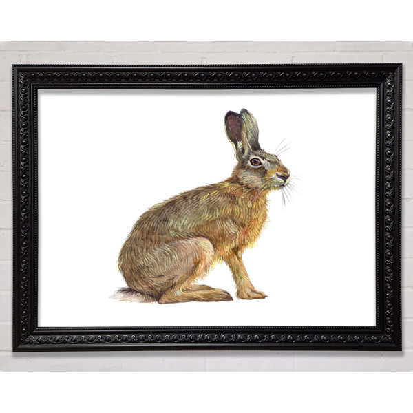 Bright Star The Hare Alone - Single Picture Frame Print | Wayfair.co.uk