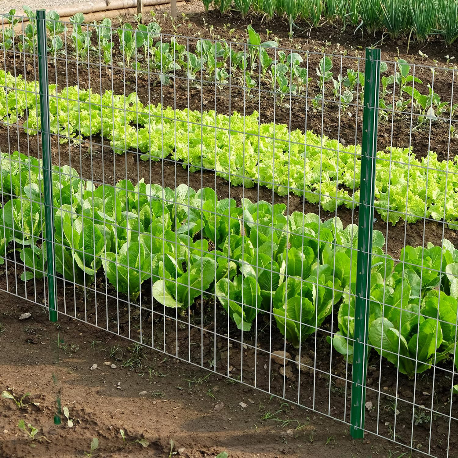 Amagabeli Fence Posts 6Feet 6Pack Sturdy Heavy Duty Metal Fence Post ...