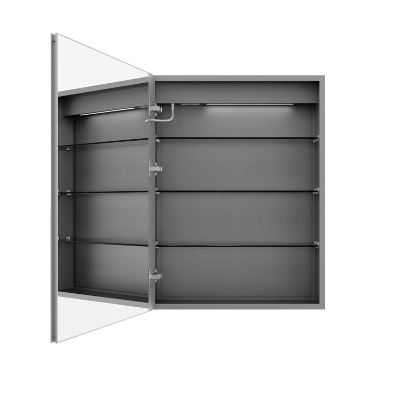 Brayden Studio® Lighted Medicine Cabinet 24 X 32 Inch | Wayfair