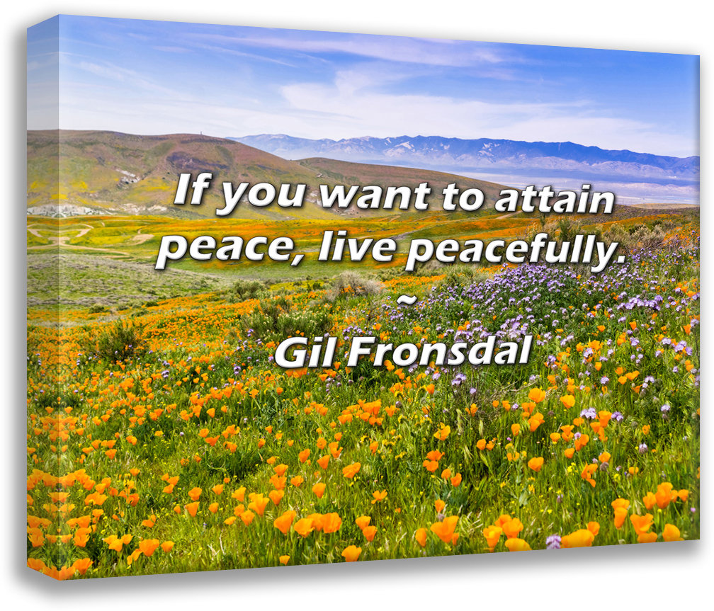 Trinx Gil Fronsdal Quote: If you want to attain peace, live peacefully ...