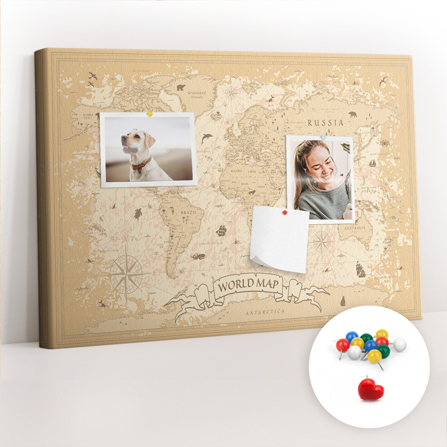 Ivy Bronx Anikia Cork Cork Board | Wayfair.co.uk