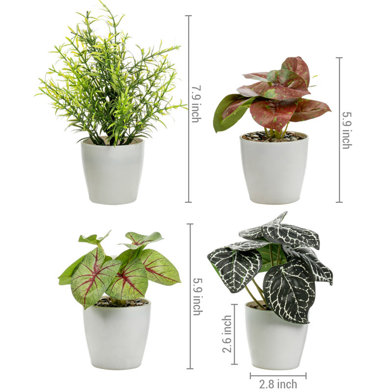 Primrue 4 Piece Fuax Fake Mini Foliage Artificial Plants White Pot ...