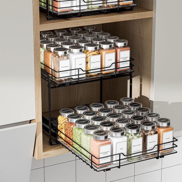 Mint Pantry® 2-Tier Spice Rack Organizer, Pull Out Spice Rack For ...