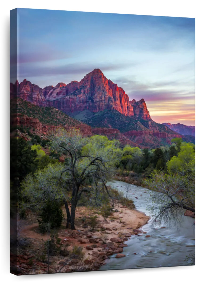 Elephant Stock Watchman River Trail | Wayfair