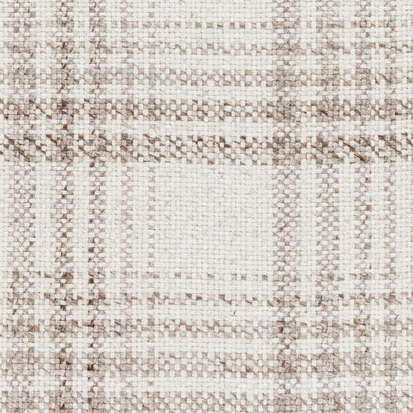 Birch Lane™ Cay Plaid Flatweave Recycled P.E.T. Indoor/Outdoor Area Rug ...