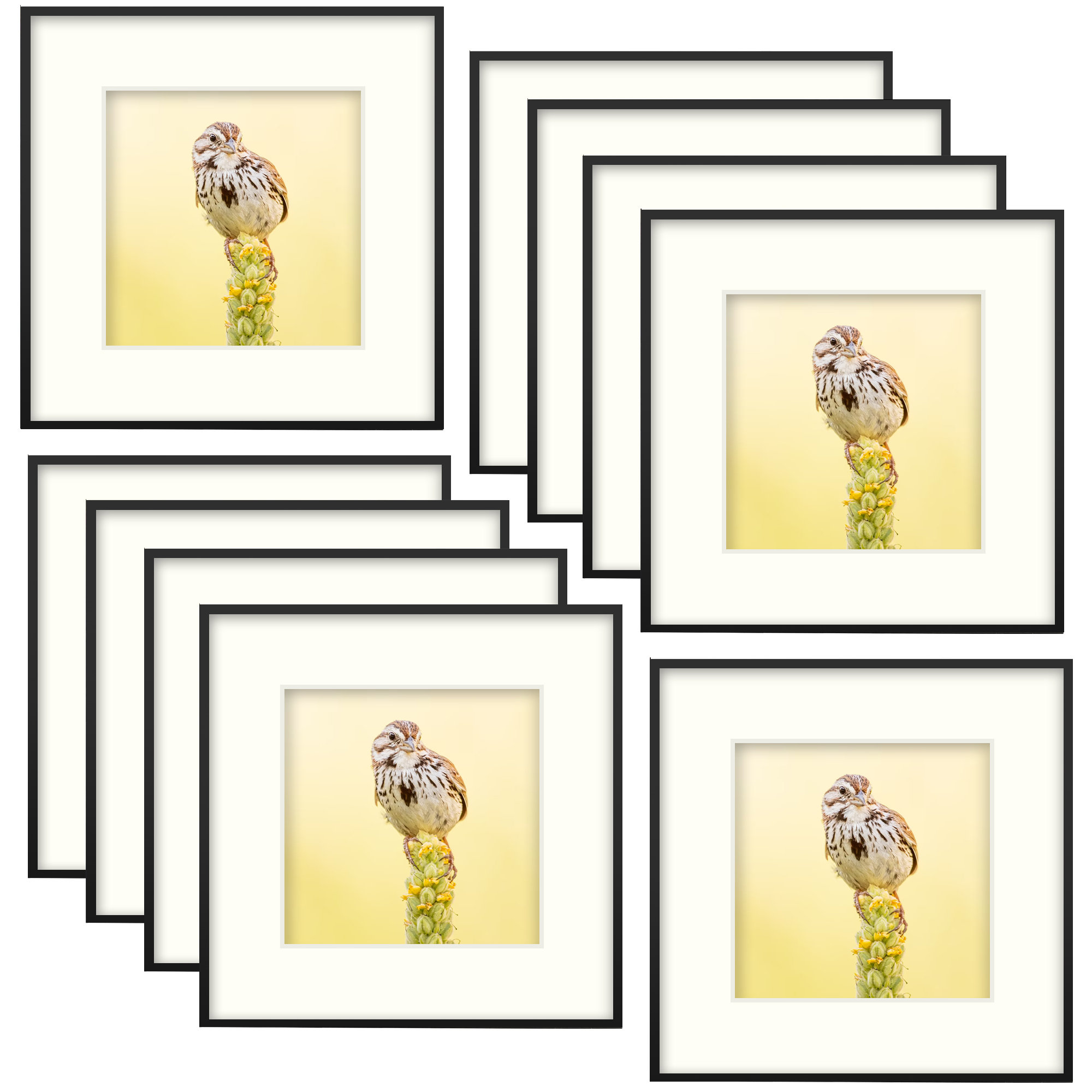 Latitude Run® Aillene 10 Piece 8" X 8" Matte Metal Gallery Wall Set ...
