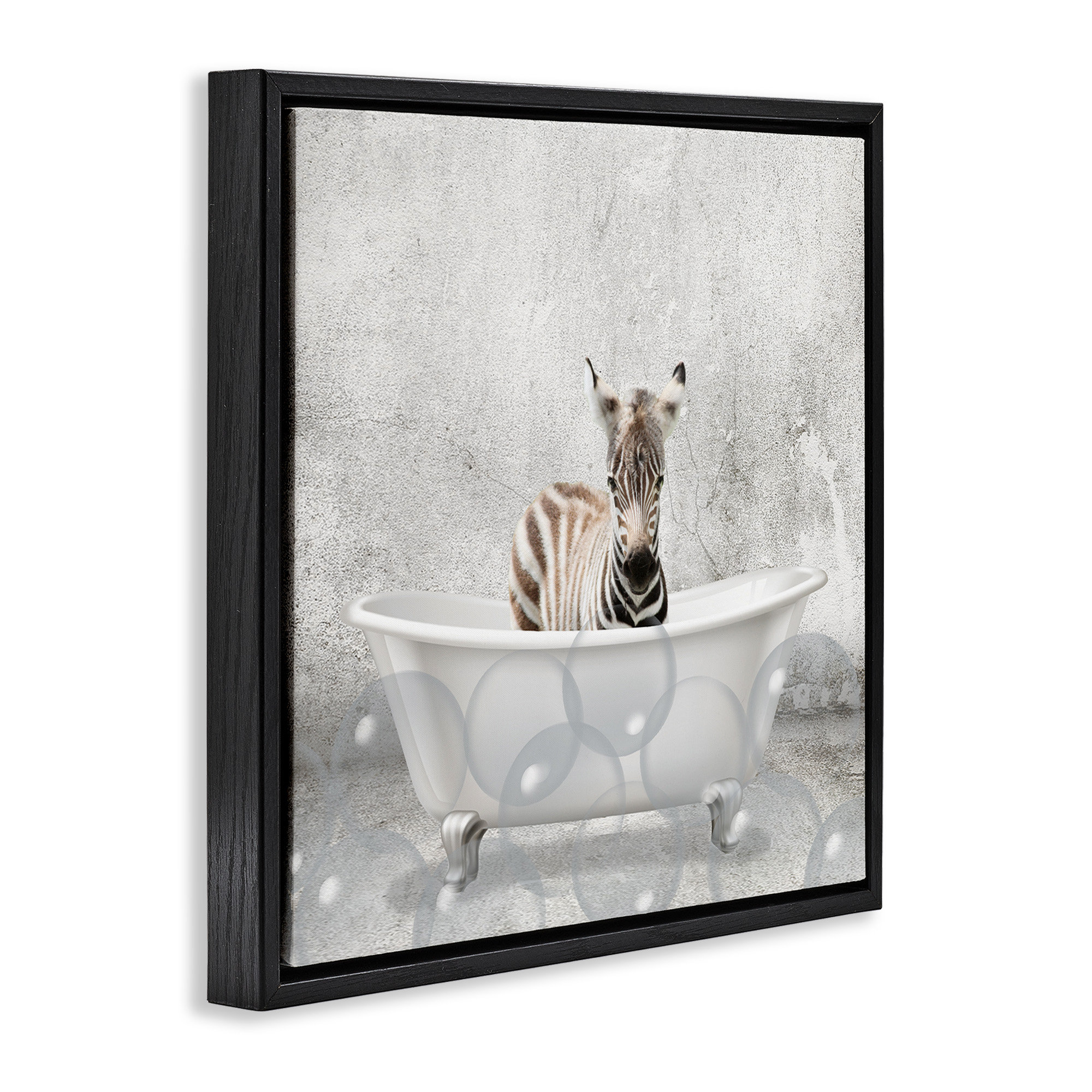 Trinx Baby Zebra Bath Time Framed Floater Canvas Wall Art by Kim Allen ...