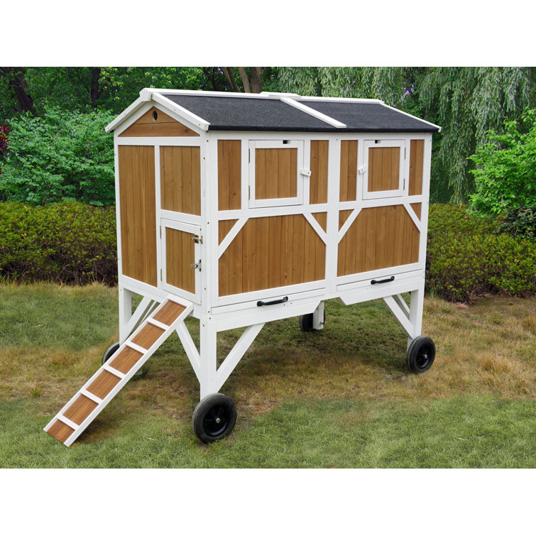 Archie & Oscar™ Ansel 11.47 Square Feet Chicken Coop with Nesting Box ...